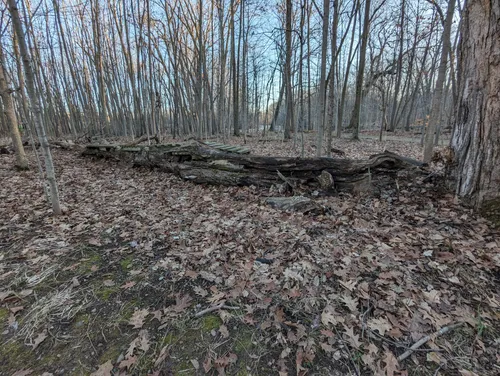 Best Hikes and Trails in Burchfield Park | AllTrails