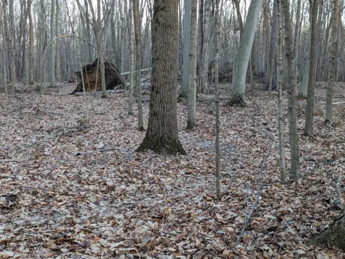 Best Hikes and Trails in Burchfield Park | AllTrails