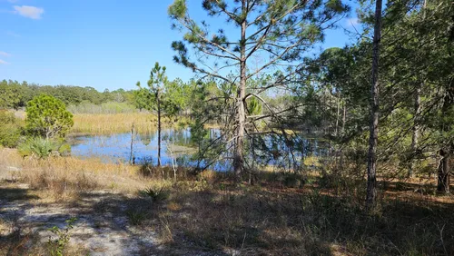 Best Hikes and Trails in PFC Emory L. Bennett Veterans Park | AllTrails