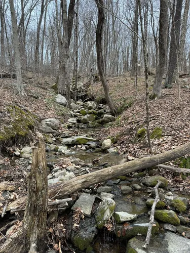 Best Hikes and Trails in Sunny Valley Preserve | AllTrails