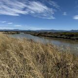 Wairau Lagoons Walkway, Marlborough, New Zealand - 160 Reviews, Map ...