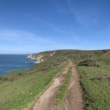 Tomales Point Trail, California - 6,256 Reviews, Map | AllTrails