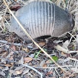 Guana Trail, Marshview Lane, and Shellbluff Road, Florida - 286 Reviews ...
