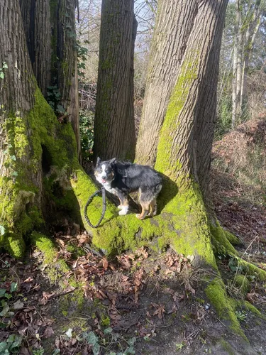 Best Hikes and Trails in Frink Park | AllTrails