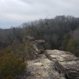 Window Cliffs Trail, Tennessee - 1,399 Reviews, Map | AllTrails
