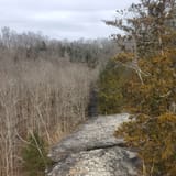 Window Cliffs Trail, Tennessee - 1,399 Reviews, Map | AllTrails