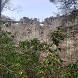 Window Cliffs Trail, Tennessee - 1,399 Reviews, Map | AllTrails