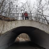 Chedoke Stairs, Ontario, Canada - 73 Reviews, Map | AllTrails