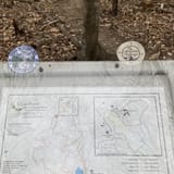 Bridge Loop Trail and Lake Loop Trail, Georgia - 840 Reviews, Map ...