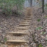Bridge Loop Trail and Lake Loop Trail, Georgia - 840 Reviews, Map ...