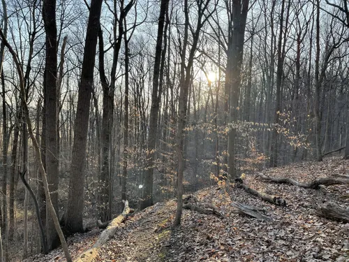 Best Hikes and Trails in Exton Park | AllTrails
