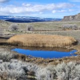Dusty Lake Trail, Washington - 132 Reviews, Map | AllTrails
