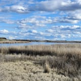 Dusty Lake Trail, Washington - 132 Reviews, Map | AllTrails