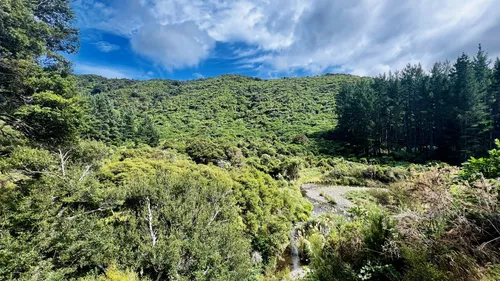 10 Best Hikes and Trails in Remutaka Forest Park | AllTrails