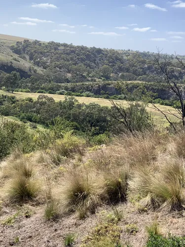 Best Hikes and Trails in Holden Flora Reserve | AllTrails
