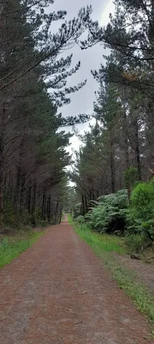 Best Easy Trails in Riverhead Forest | AllTrails