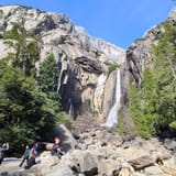 Sentinel Meadow Cook's Meadow Loop Trail, California - 2,858 Reviews ...