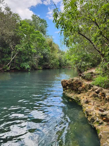 Best Hikes and Trails in Cardwell | AllTrails