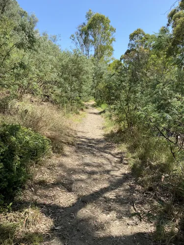 Best Hikes and Trails in Darebin Parklands | AllTrails