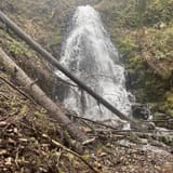 Angels Rest to Devil's Rest Loop Trail, Oregon - 1,242 Reviews, Map ...