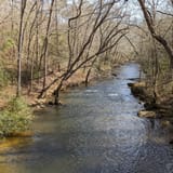Duck River Trail, Alabama - 378 Reviews, Map | AllTrails