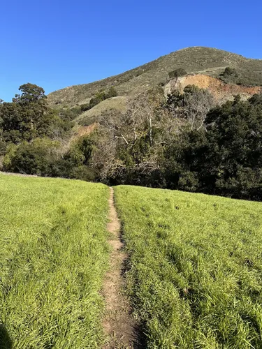 Best Hikes and Trails in Peterson Ranch | AllTrails