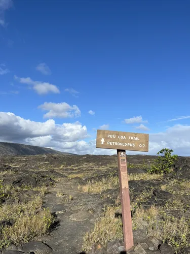 Best Beach Trails in Hawai'i Volcanoes National Park | AllTrails