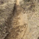 Morning Choice, Lewis and Clark, Ridge Trail, Hop Snake, and Rockburn ...