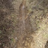 Morning Choice, Lewis and Clark, Ridge Trail, Hop Snake, and Rockburn ...