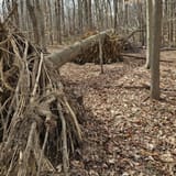 Morning Choice, Lewis and Clark, Ridge Trail, Hop Snake, and Rockburn ...