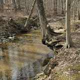 Morning Choice, Lewis and Clark, Ridge, Hop Snake, and Rockburn Trail ...