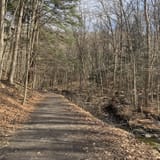 Tinker Falls Trail, New York - 552 Reviews, Map | AllTrails