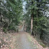 Mount Thom via Thom Creek Trail, British Columbia, Canada - 1,562 ...