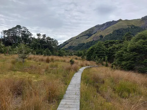 10 Best Hikes and Trails in Lewis Pass Scenic Reserve | AllTrails