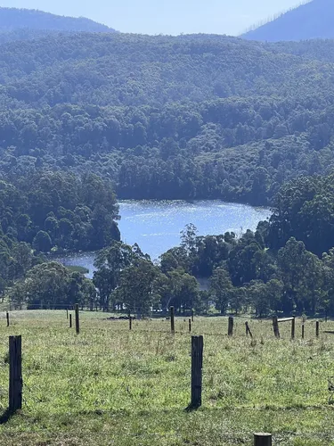 Best Hikes and Trails in Neerim South | AllTrails