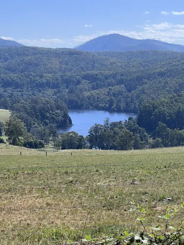 Best Hikes and Trails in Neerim South | AllTrails