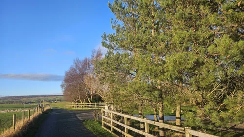 Best Hikes and Trails in Leyburn Old Glebe Nature Reserve | AllTrails