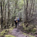 Overland Track: Kia Ora to Windy Ridge (Bert Nichols Hut), Tasmania ...