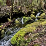 Overland Track: Kia Ora to Windy Ridge (Bert Nichols Hut), Tasmania ...