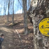 Colyer Lake Loop, Pennsylvania - 674 Reviews, Map | AllTrails
