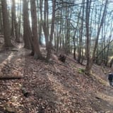 Colyer Lake Loop, Pennsylvania - 761 Reviews, Map | AllTrails
