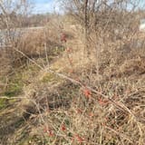 Colyer Lake Loop, Pennsylvania - 761 Reviews, Map | AllTrails