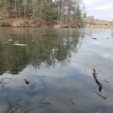 Colyer Lake Loop, Pennsylvania - 761 Reviews, Map | AllTrails