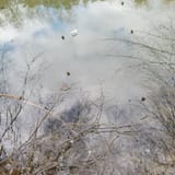 Colyer Lake Loop, Pennsylvania - 761 Reviews, Map | AllTrails