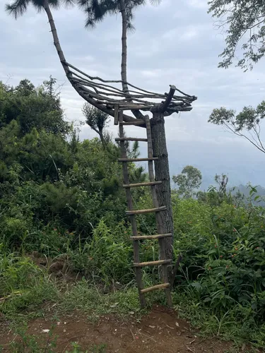 Best Hikes and Trails in Cagar Alam Gunung Burangrang | AllTrails