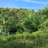 Kemensah - Bukit Pau Peak, Selangor, Malaysia - 130 Reviews, Map ...
