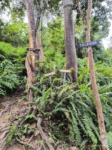 Best Hikes and Trails in Bukit Beruang Forest Reserve | AllTrails