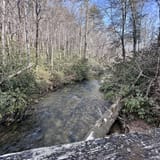 East Fork Trail, South Carolina - 292 Reviews, Map | AllTrails