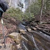 East Fork Trail, South Carolina - 260 Reviews, Map | AllTrails