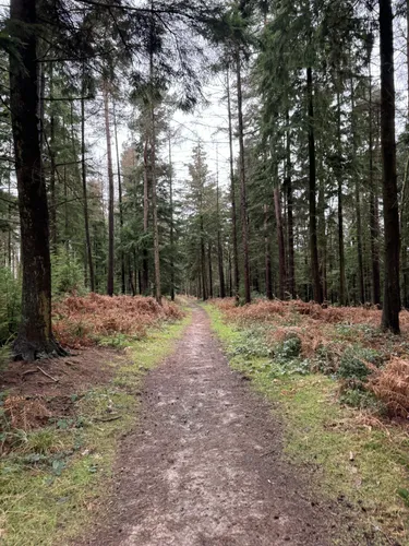 Best Hikes and Trails in Tilgate Park | AllTrails